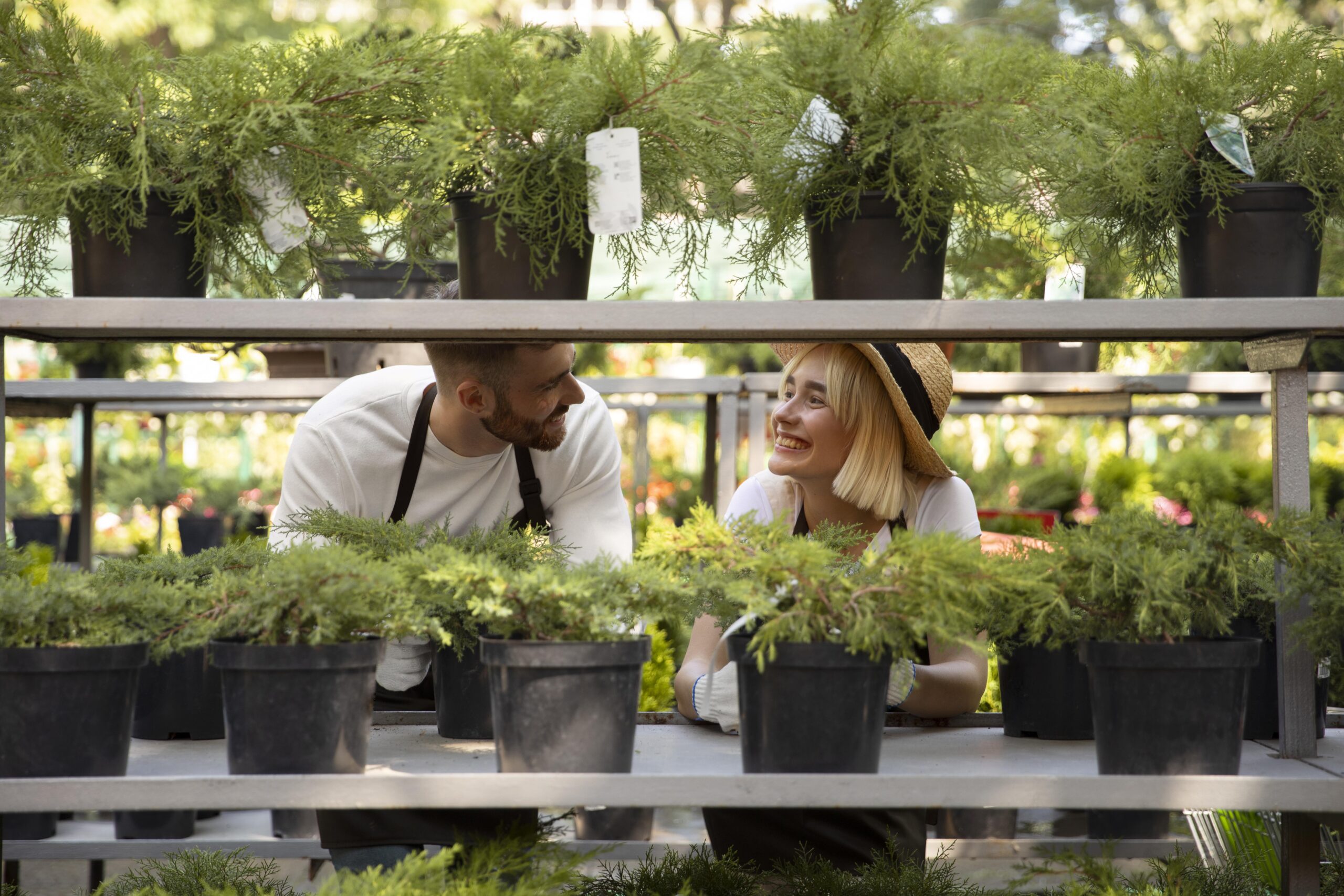 Indoor Plants Nursery in Thrissur | Buy Online | Grab New Offers
